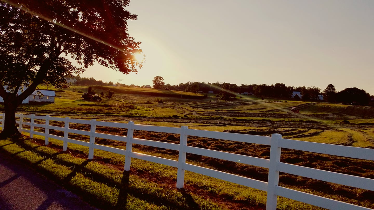 Discover Land of Grace Farm in Elizabethtown, PA